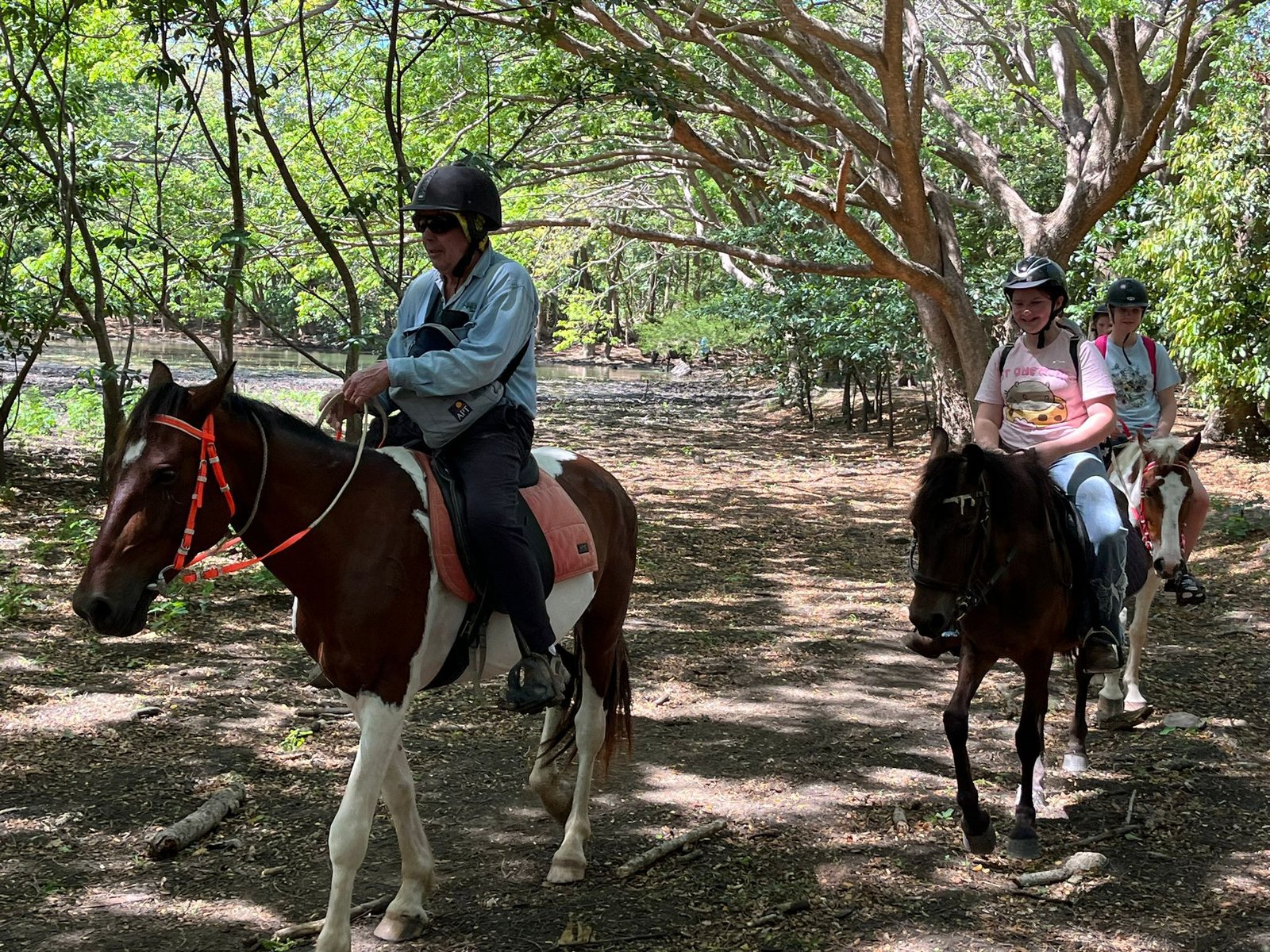 Book Your Natadola Beach Cross Country Horse Riding Tour Fiji