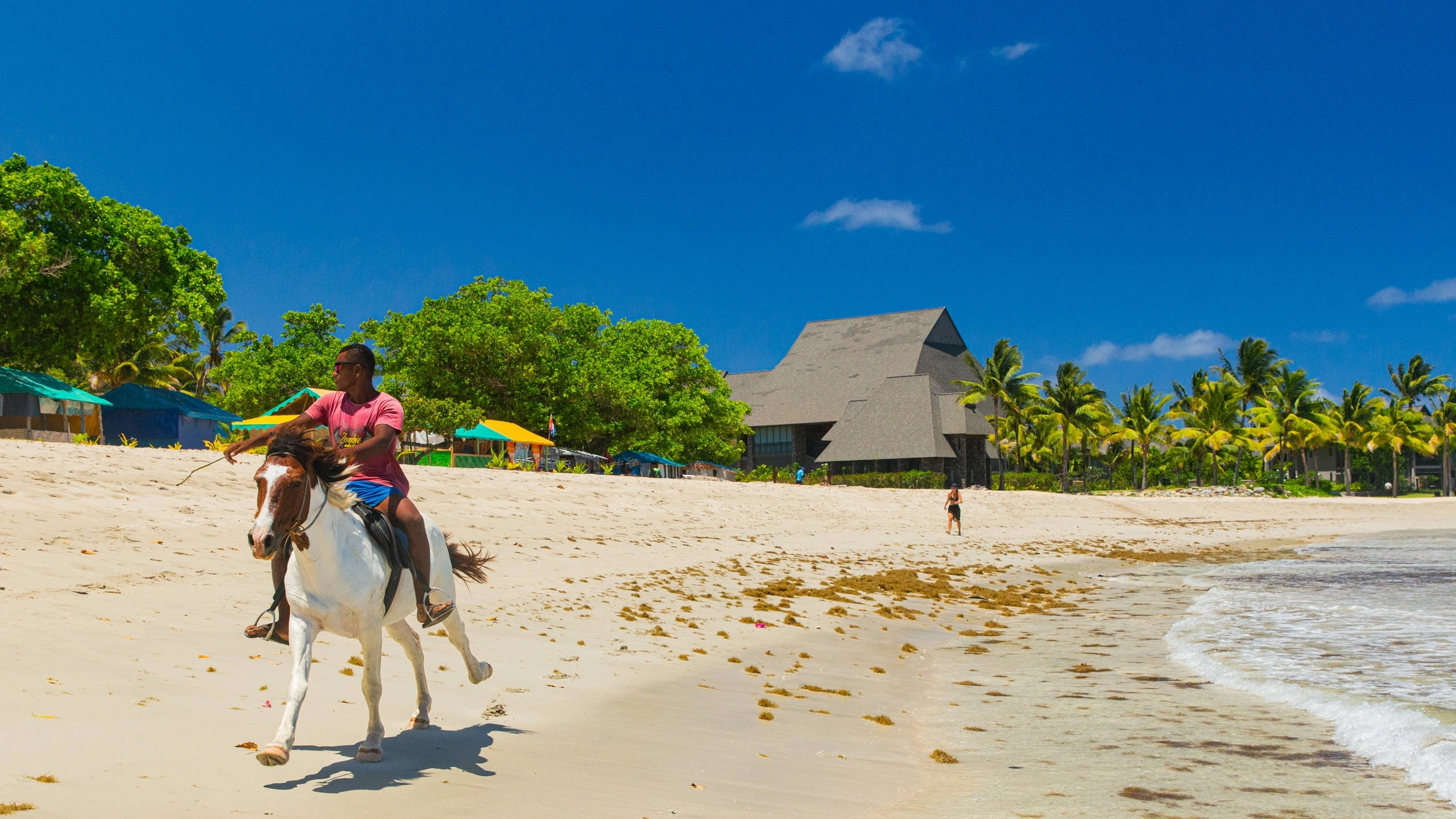 Natadola Beach Horse Riding Tour Fiji @AU$95 – Scenic 50-Min Ride